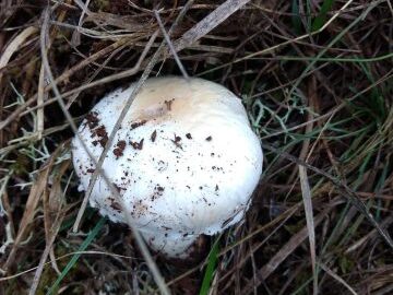 Рудњача - Око Златибора